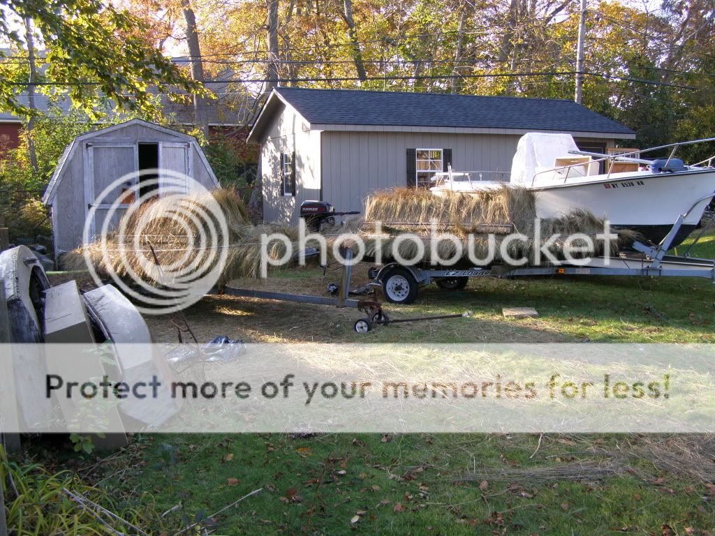 Grassed the boats | Duckboats